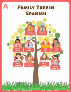 Family in Spanish: Expressing Family Vocabulary in Spanish